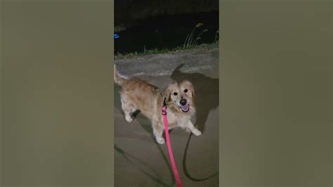 좁은길좁은문 Youtube