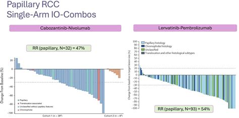 Esmo 2024 Non Clear Cell Rcc