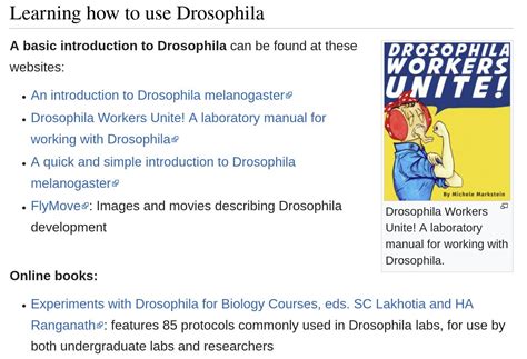 Flybase Flybasemstdnscience Mstdnscience