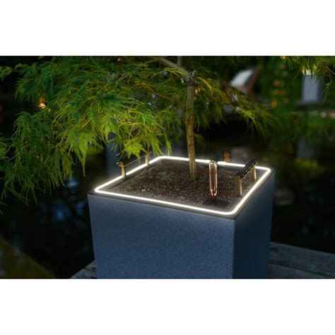 Pflanzgefäß Canto Stone 30 High Led Kunststoff Graphitschwarz 30 X 56