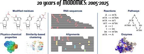 20 Years Of Modomics The Largest Update Of The Rna Modification