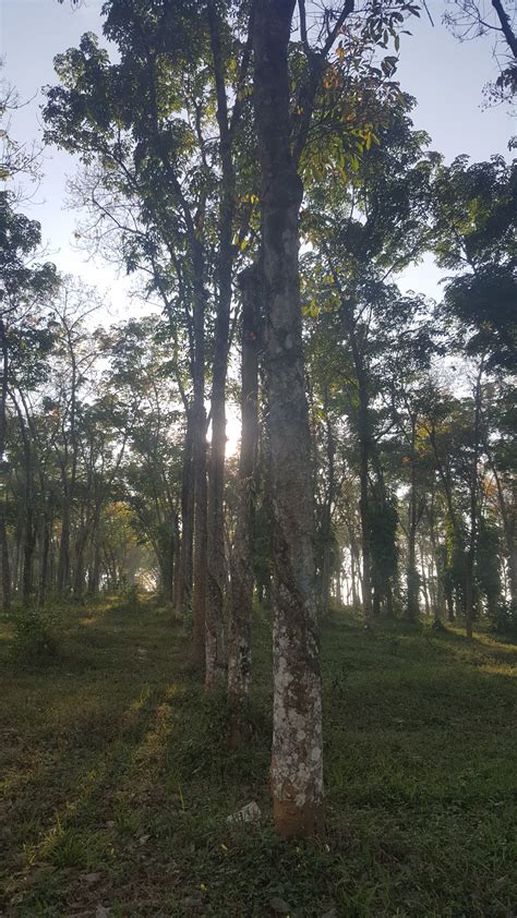 Kendal Regency Central Java Indonesia Sunrise Sunset Times