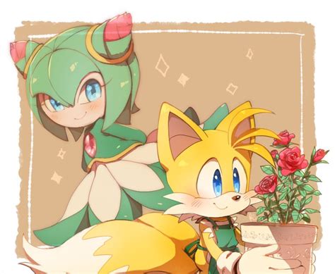 Cosmo And Tails Sonic X