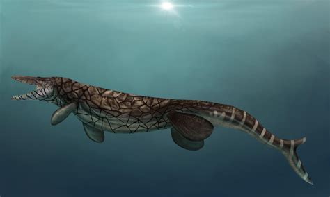 Tylosaurus