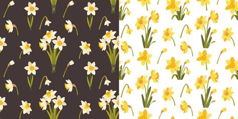 Daffodil Border Pattern Vector Art Icons And Graphics For Free Download