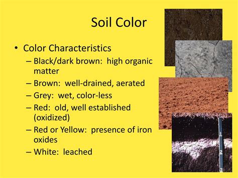 Soil Color Name