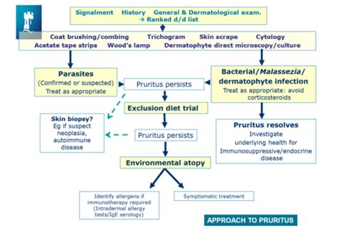 Approach To Pruritis Flashcards Quizlet