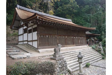 国宝社殿に目を奪われる「名建築神社5選」《いま行くべき神社ガイド》 Discover Japan ディスカバー・ジャパン