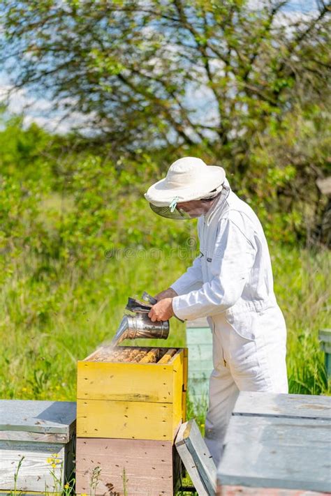 Man In Protective Suit In Bee Farm Handsome Beekeeper Working With