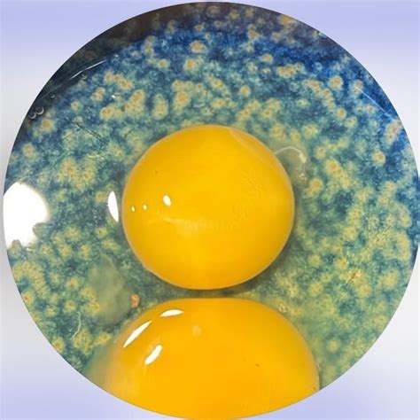 𝗛𝗲𝗻𝗿𝗶𝗸☃︎ Ming Han 95 • Threads Say More