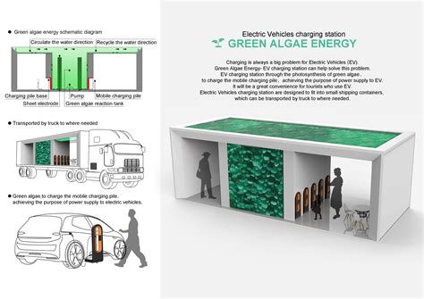If Design Green Algae Energy