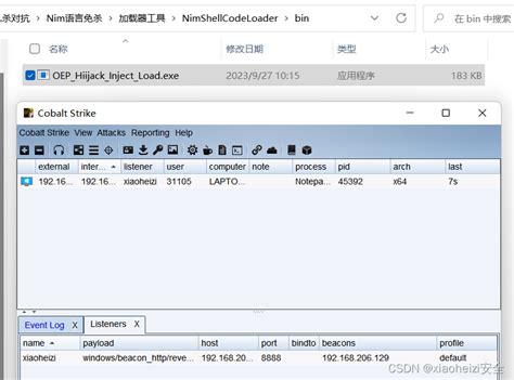 免杀对抗 nim语言免杀 加载工具 加载方式 nim免杀 csdn博客