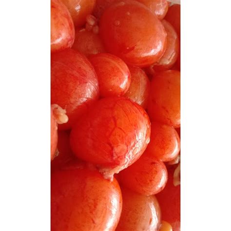 Jual Telur Ayam Muda Shopee Indonesia