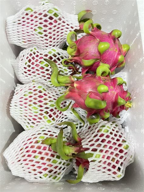 Kho Thanh Long Xuất Khẩu Hàng đầu Long An F95