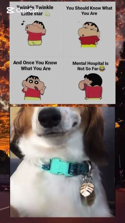 Assumption Memes Youtube