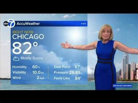 Tracy Butler Abc 7 Chicago Weather Montage 30 July 2024 Youtube