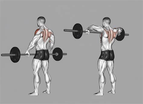 How To Do Upright Barbell Rows Form Muscles Worked And Tips