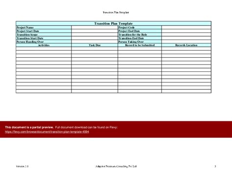 Transition Plan Template Excel