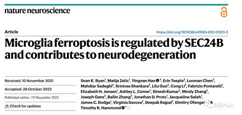 Nature Neuroscience丨小胶质细胞的铁死亡易感性及其调控机制 脑医汇