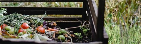 Réduction Et Prévention Des Déchets Cc3m