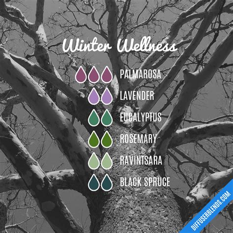 Winter Wellness