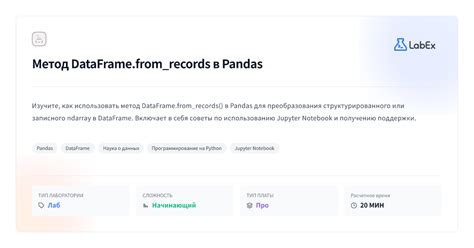 Dataframe Pandas Наука о данных Программирование на Python Labex