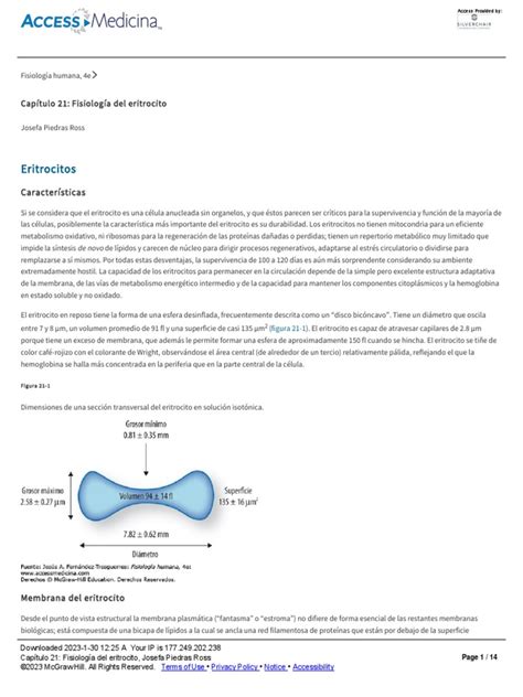 Capítulo 21 Fisiología Del Eritrocito Pdf Glóbulo Rojo Membrana