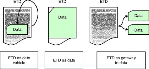 Ethnographic Report Outline Apa