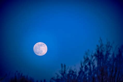 Premium Photo Bright Moon Background Night Sky And Dry Grass