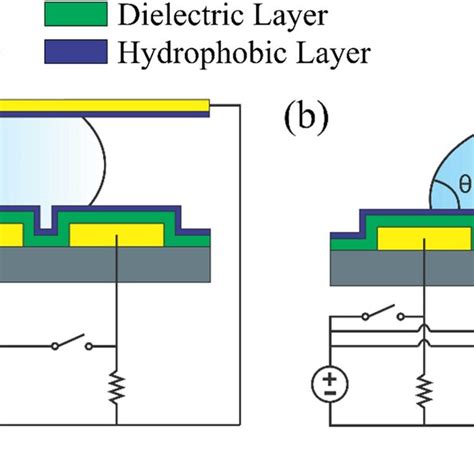 Droplet Velocity Versus Actuation Frequency In A Closed Configuration Download Scientific