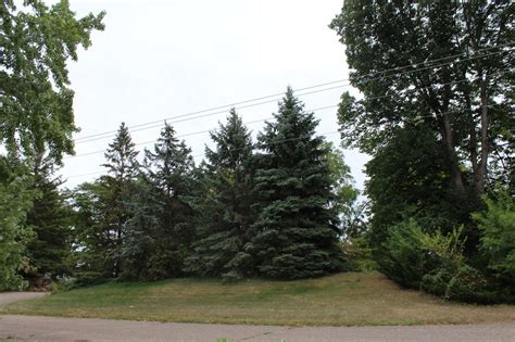 1440 Diffley Rd Eagan Mn 55122 See Est Value Schools And More