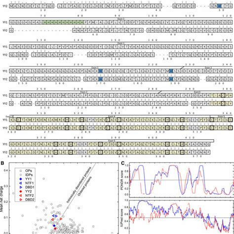 Bioinformatic Analysis Of Yy1 And Yy2 Sequence A Sequence Alignment Download Scientific