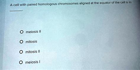 A Cell With Paired Homologous Chromosomes Aligned At The Equator Of The