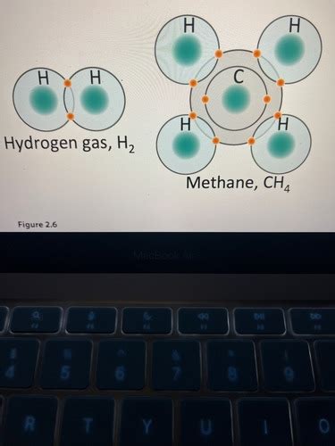 Biology 111 Midterm Flashcards Quizlet