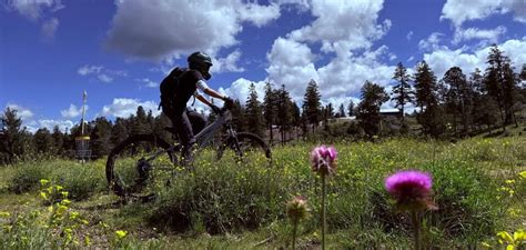 Record Breaking Crowd Races At Cloudcrofts High Altitude Classic Newsbreak