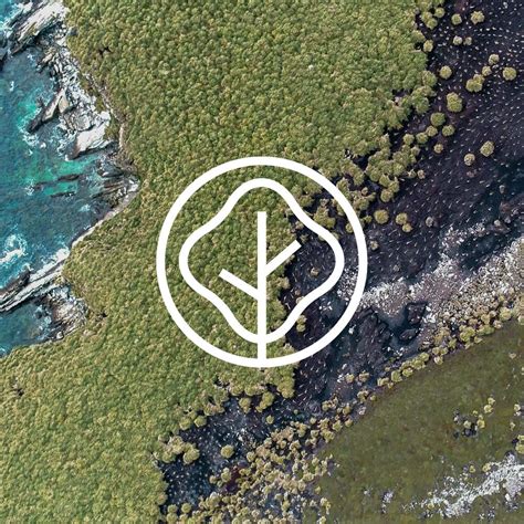 Treeck® Nachhaltiges Design Langlebige Qualität Treeck®