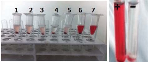 Hemolyzed Rbcs In Suspension With Different Pesticides [1 Micronized