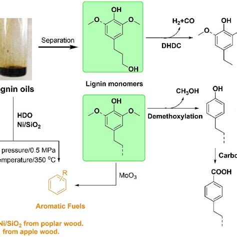 Catalytic Processes For Producing Bulk Chemicals And Fuels From