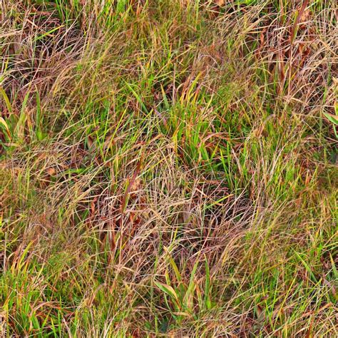 High Resolution Foto Realistic Seamless Texture Of Green Grass And