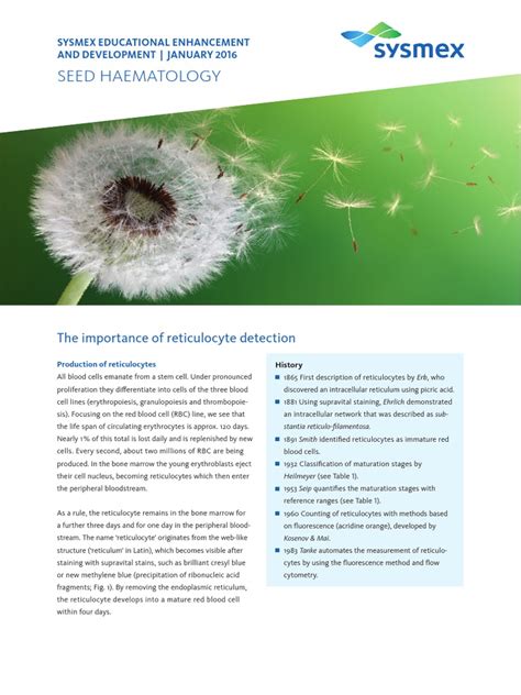 Sysmex Seed The Importance Of Reticulocyte Detection Pdf Anemia