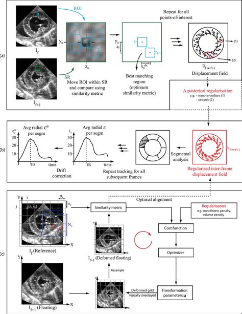 Principle Of Cardiac Motion Estimation In Short Axis B Mode Ultrasonic Download Scientific