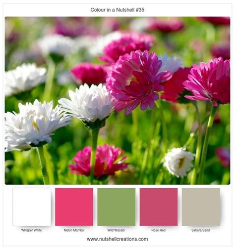 Pin By Sue Caldwell On Colors Hd Flower Wallpaper Spring Flowers