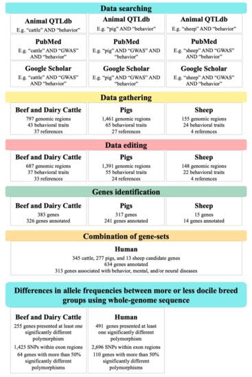 Genetic Traits Chart
