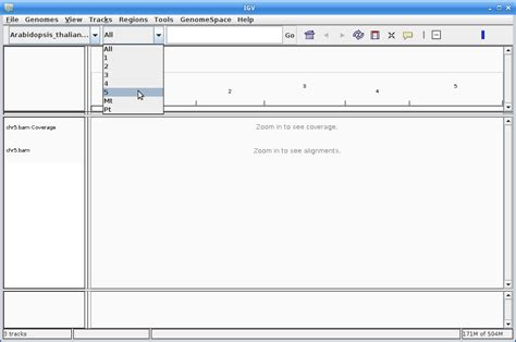 Alignment To Read Counts And Visualization In Igv Uc Davis
