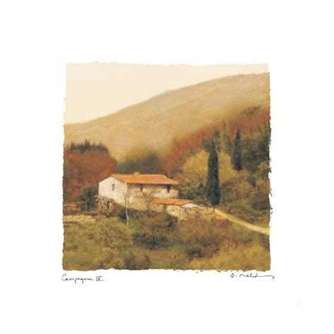 Campagna Iv Premium Giclee Print Amy Melious Black Framed Art Framed Art Prints