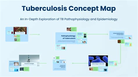 Tuberculosis Concept Map By Loul Chagai On Prezi