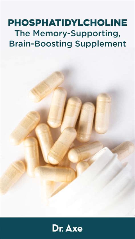 Phosphatidylcholine Benefits Uses Forms And Side Effects Dr Axe
