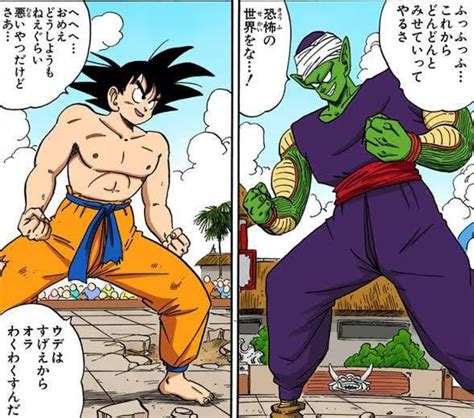 Do You Want Piccolo To Get A New Outfit In Dragon Ball Or Stay With His
