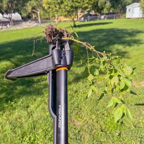 Fiskars Weed Puller Review 2025