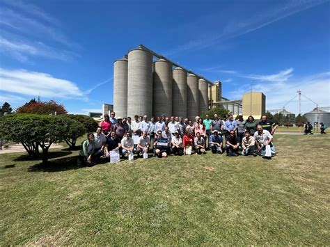 Supplychain Analytics Argentina Beer Brewing Brewingmaterials